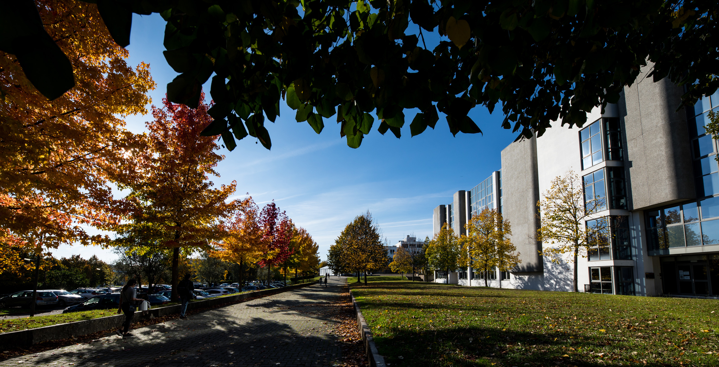 All International Partners - Concordia University of Edmonton