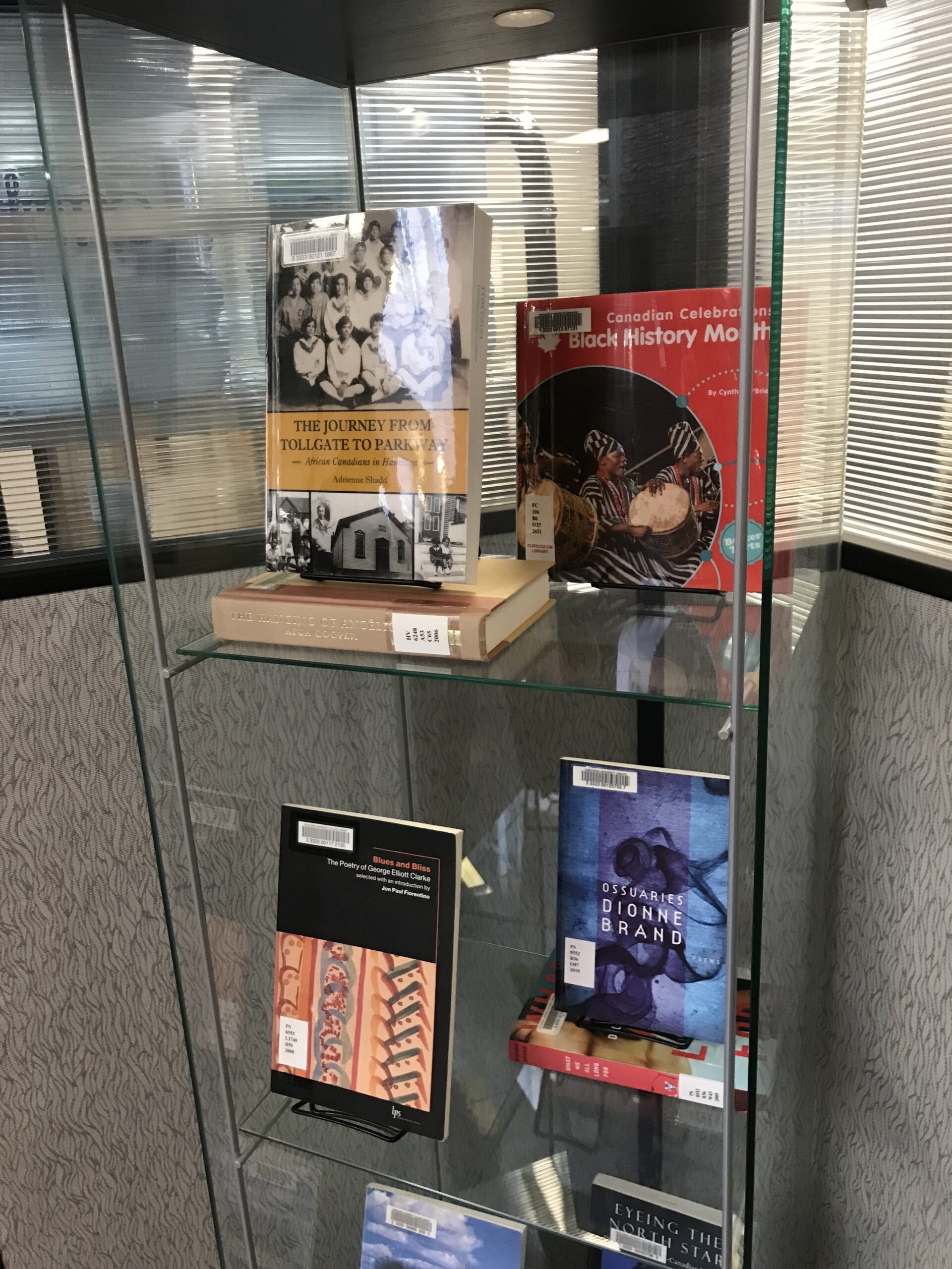 35 books to read during Black History Month - Concordia University of ...