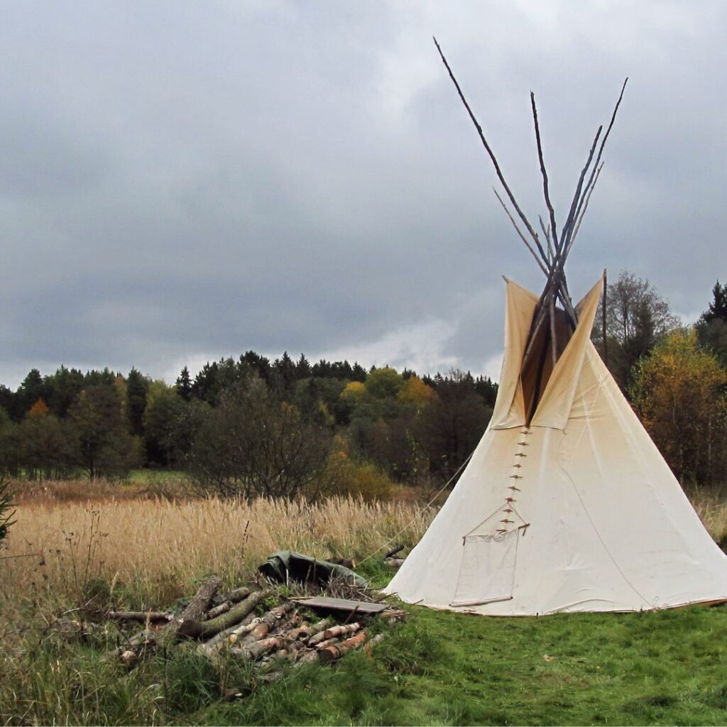 Indigenous Perspectives and Cultural Awareness - Concordia University ...